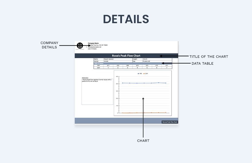 Normal Peak Flow Chart - Google Sheets, Excel | Template.net