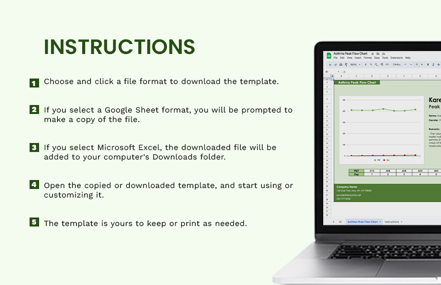 Asthma Peak Flow Chart - Google Sheets, Excel | Template.net