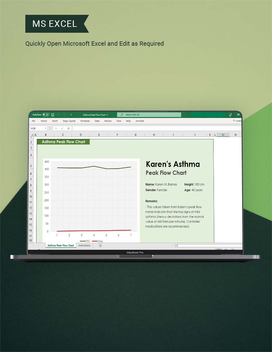 Asthma Peak Flow Chart - Google Sheets, Excel | Template.net