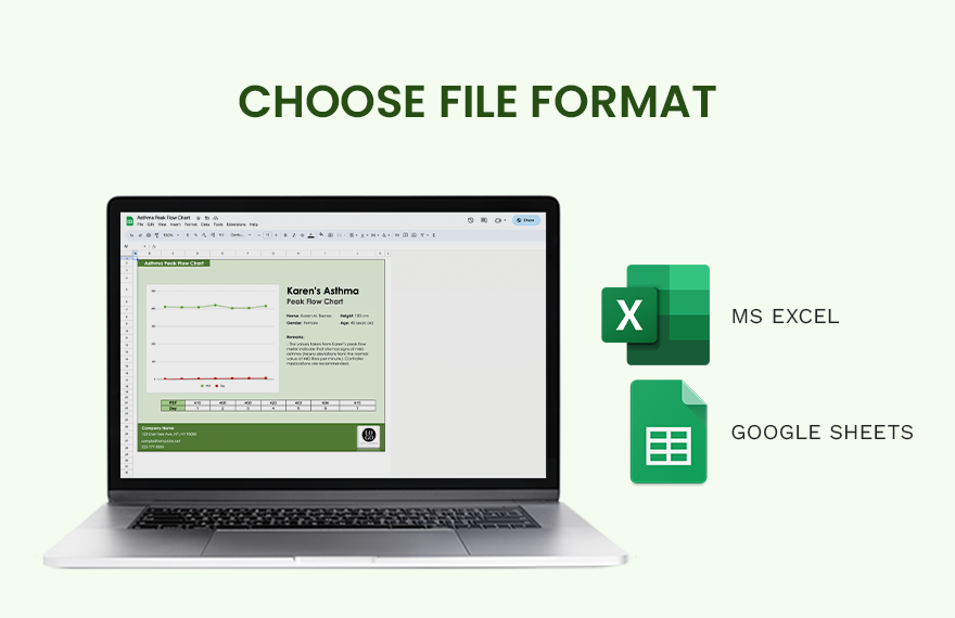 Asthma Peak Flow Chart - Google Sheets, Excel | Template.net