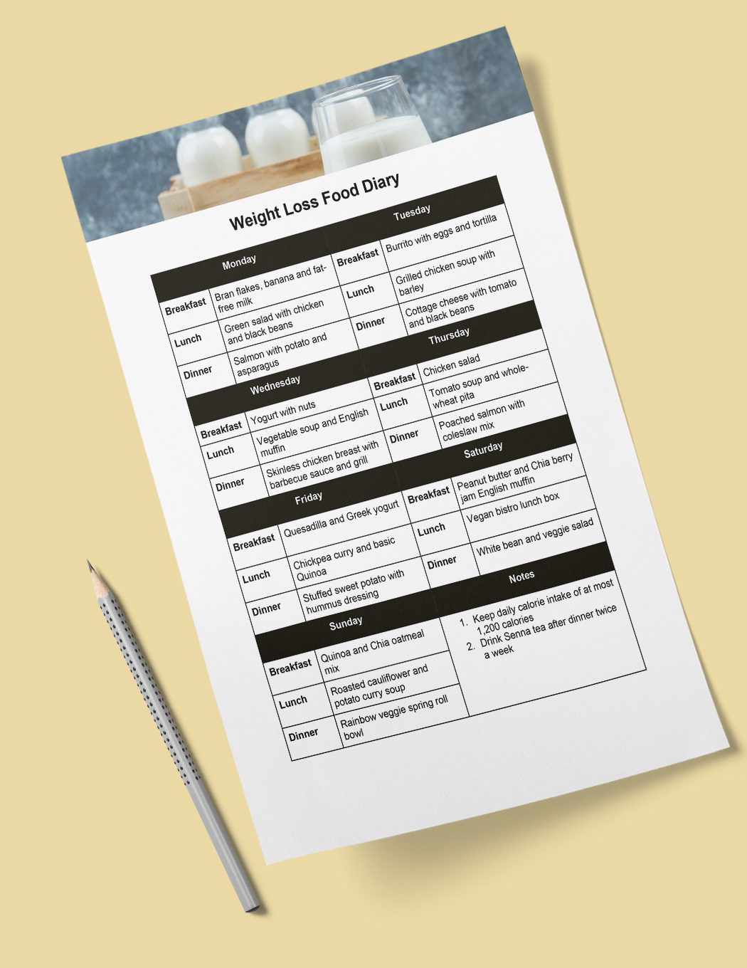 Weight Loss Food Diary Template Google Docs Word PDF Template Weight Loss Food Diary Template Google Docs Word PDF Template