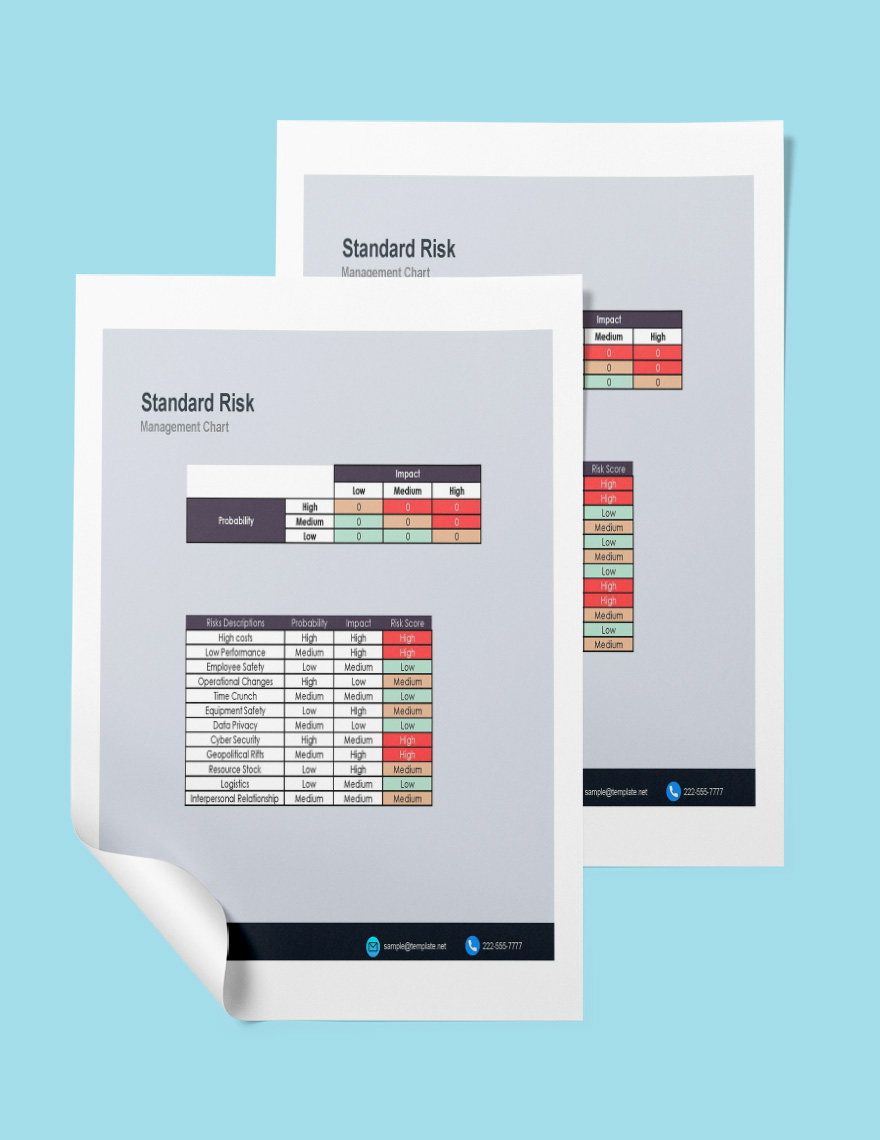 Free Standard Risk Management Chart - Google Sheets, Excel | Template.net