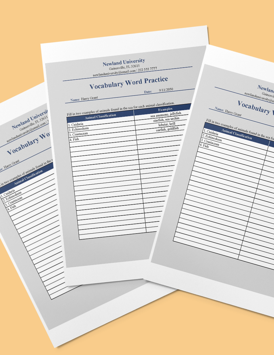 Vocabulary Word Practice Worksheet - Google Sheets, Excel | Template.net