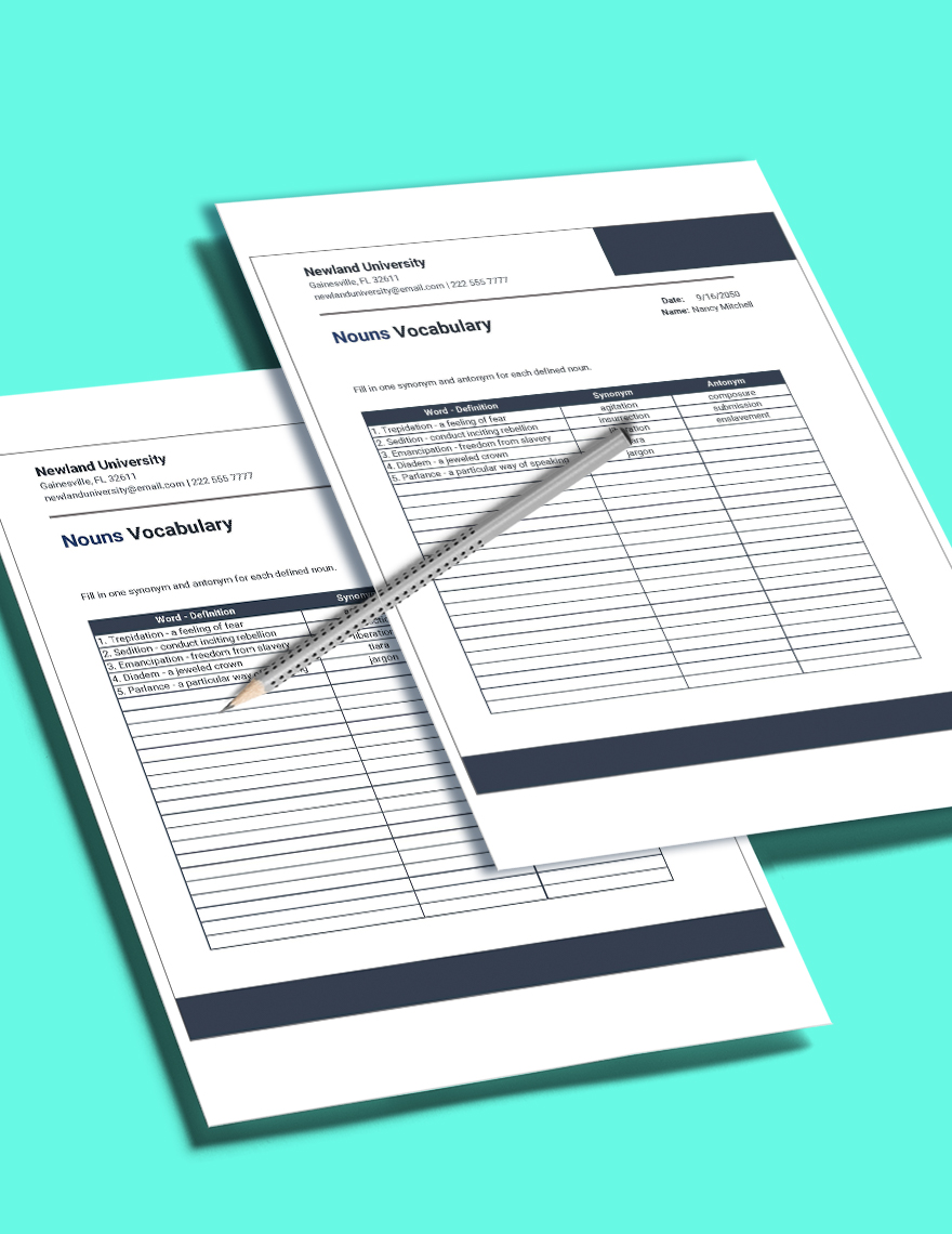 Vocabulary Worksheet Template For Nouns Google Sheets Excel 