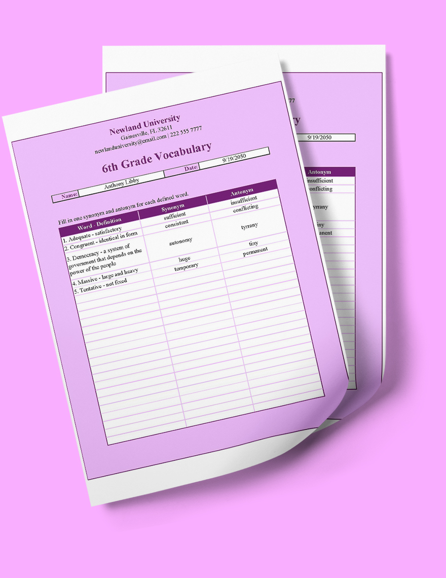 6th Grade Vocabulary Exercises Worksheet Template - Google Sheets ...