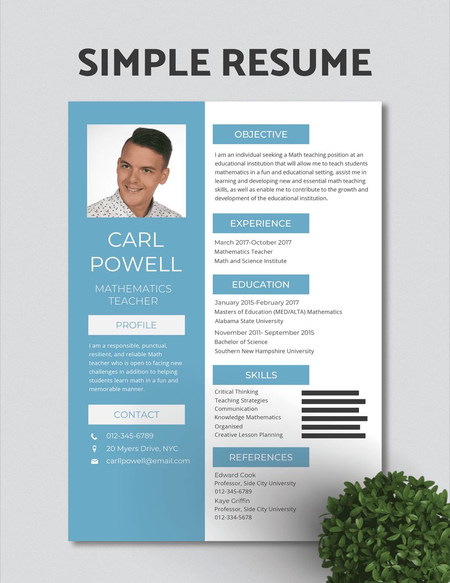 Simple Resumes Download
