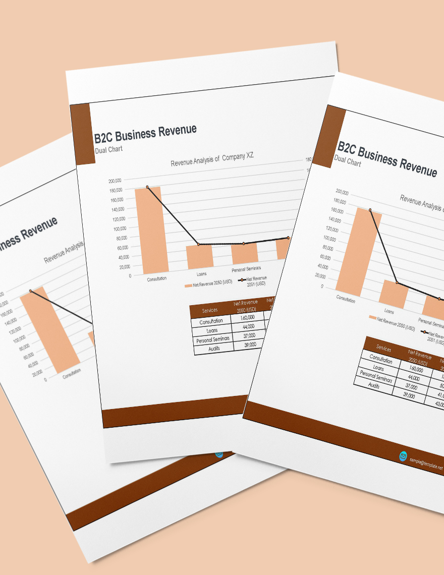 B2c Business Revenue Dual Chart - Google Sheets, Excel | Template.net