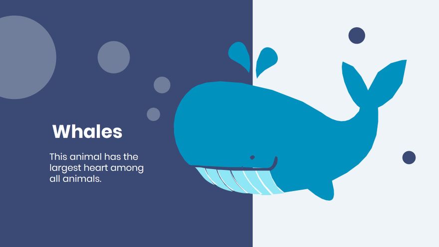 Free Aesthetic Science Presentation - Download in PDF, PowerPoint ...