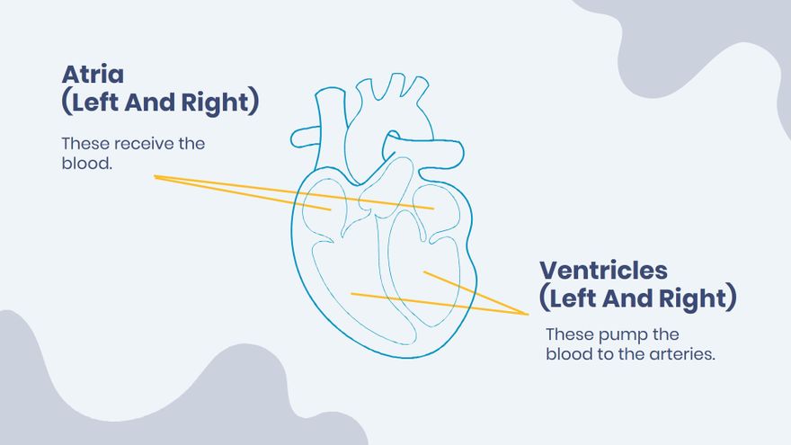 Free Aesthetic Science Presentation - Download in PDF, PowerPoint ...