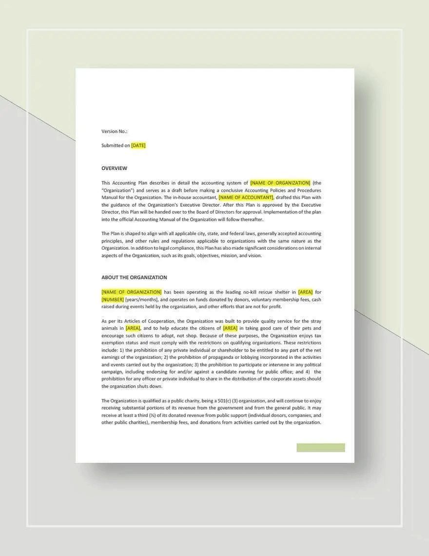 Accounting Plan Template - Google Docs, Word, Apple Pages | Template.net