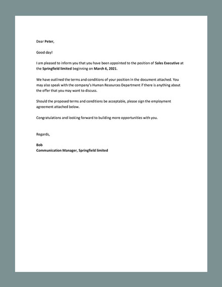 Appointment Letter Template For Teacher Google Docs Word Template