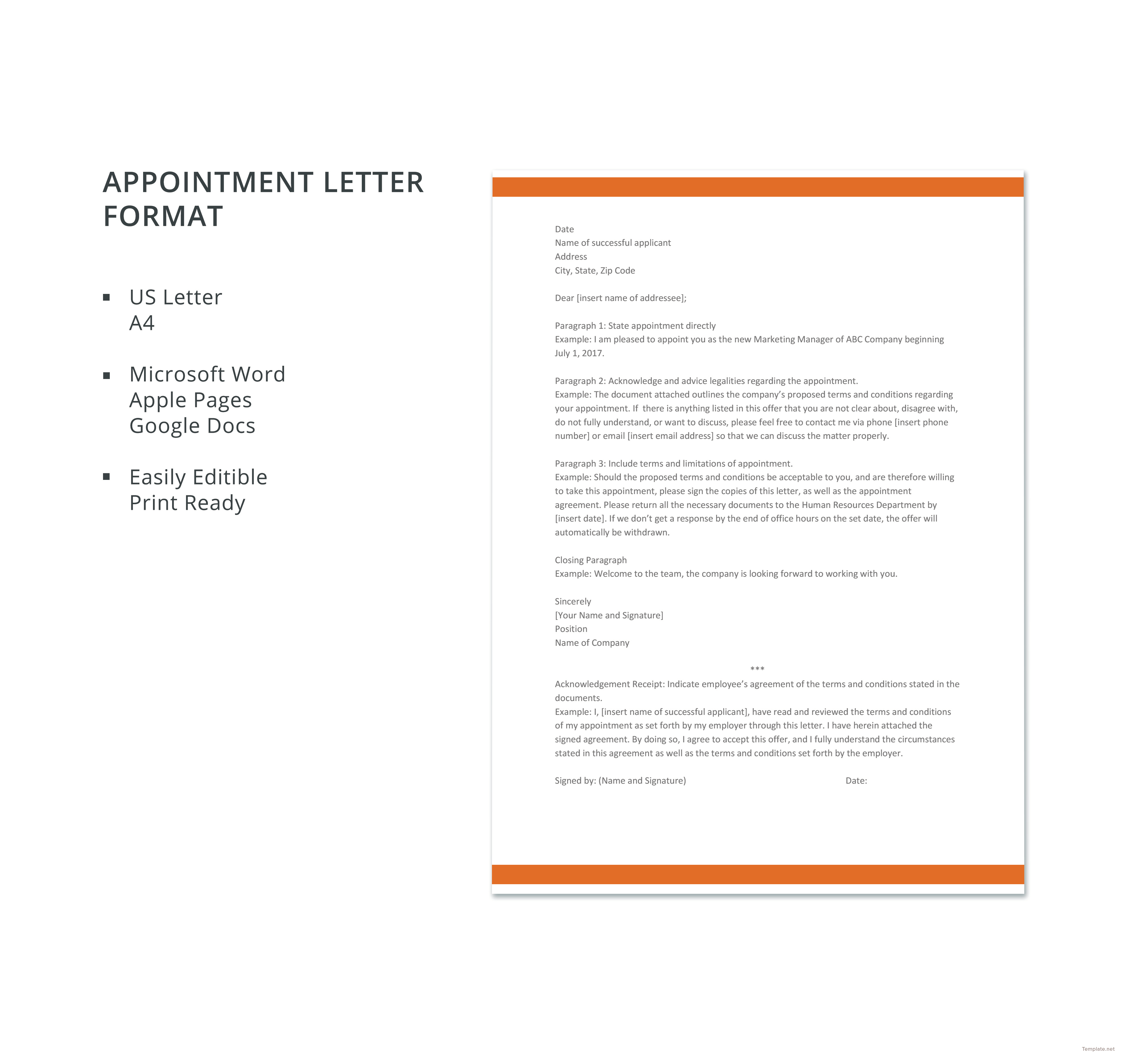 Appointment Letter Format in Microsoft Word, Apple Pages, Google Docs ...