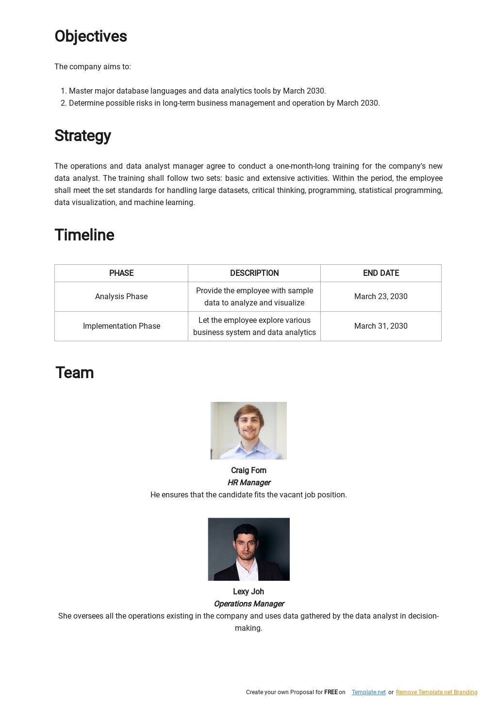Data Analysis Plan Template Free PDF Google Docs Word PDF 