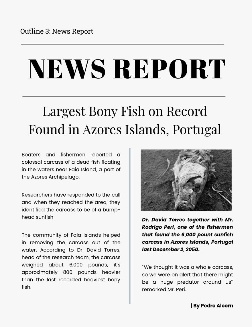 Free News Report Templates To Edit Online And Print