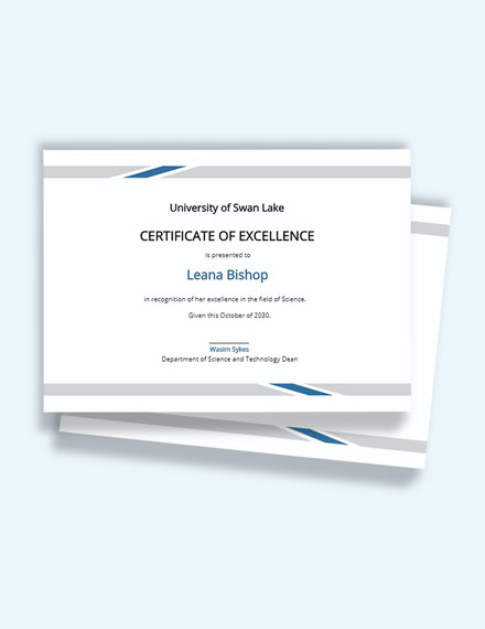 Certificate of Excellence Template - Google Docs, Illustrator, InDesign ...