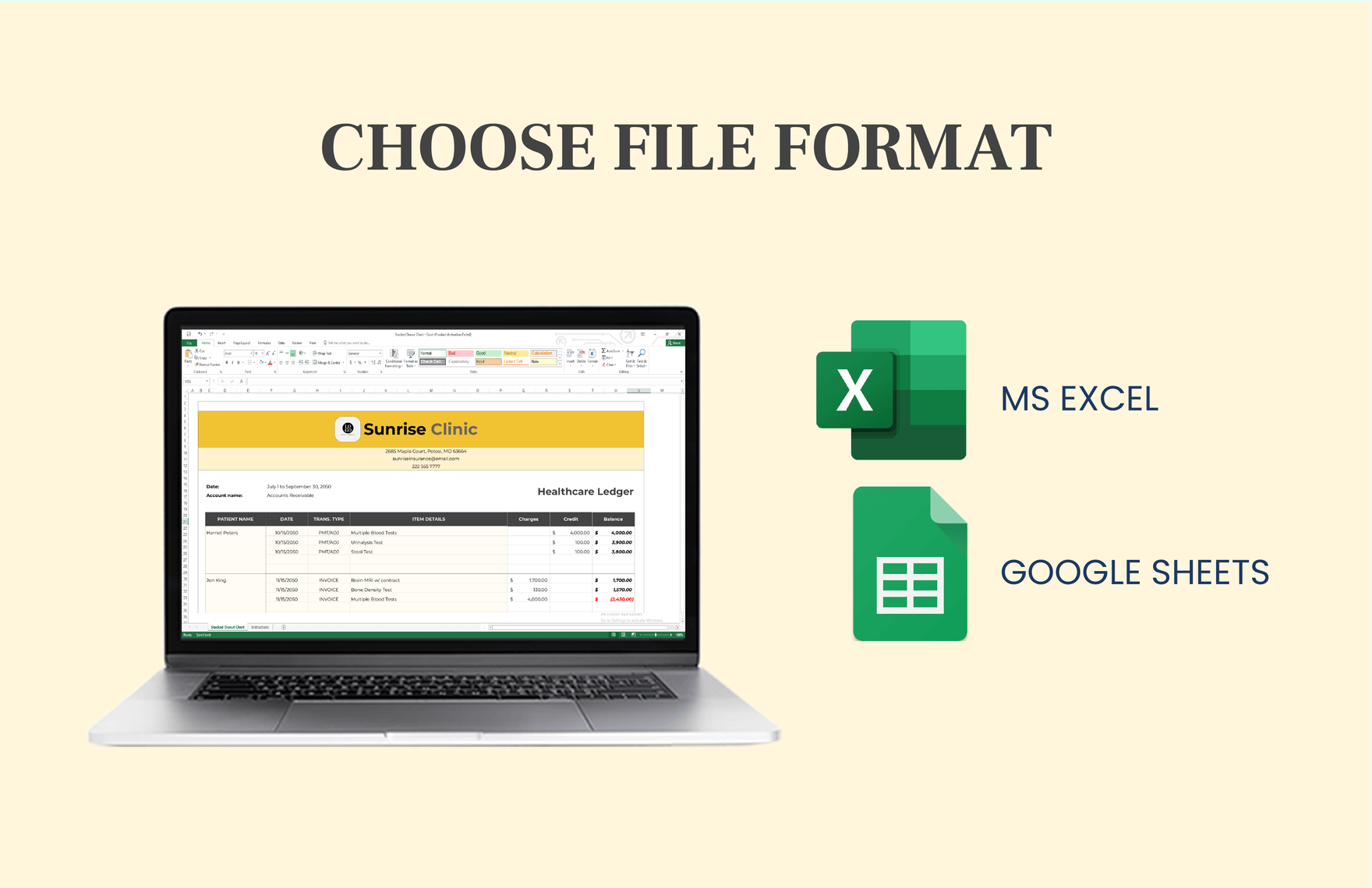 Healthcare Ledger Template - Download in Excel, Google Sheets ...