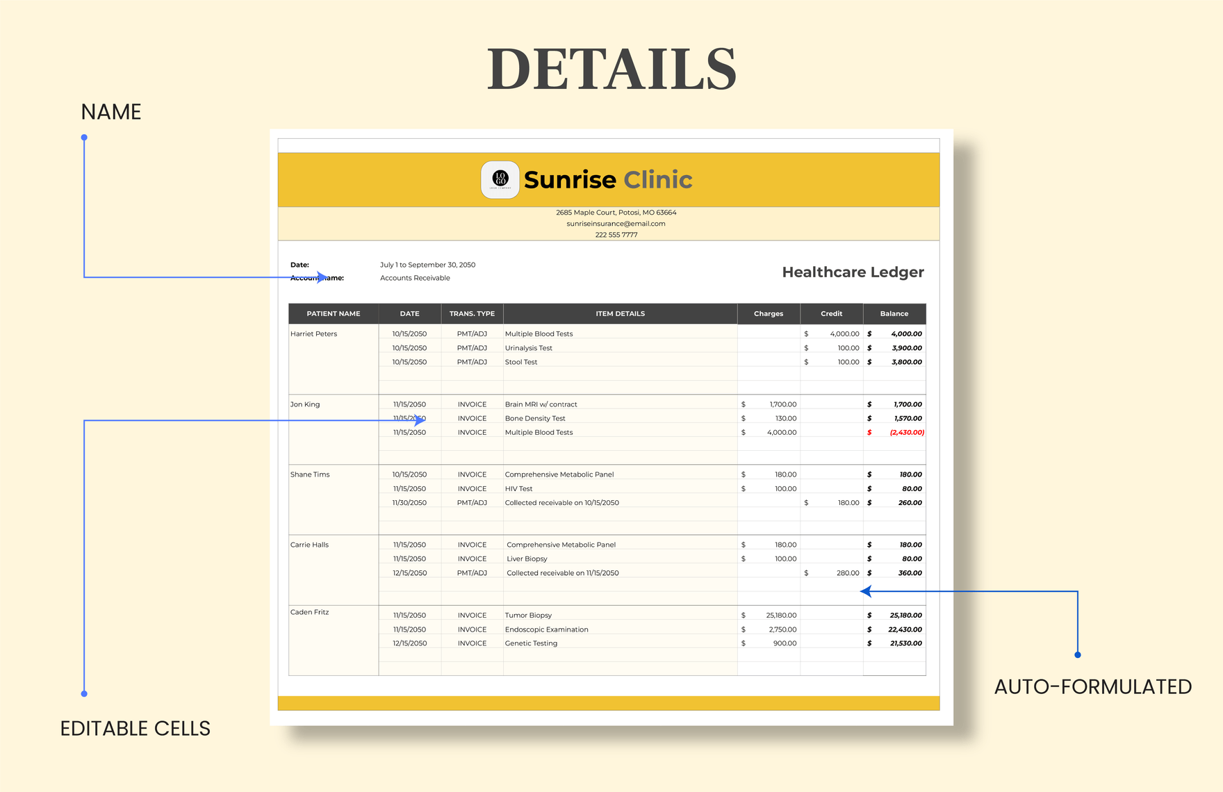 Healthcare Ledger Template - Download in Excel, Google Sheets ...