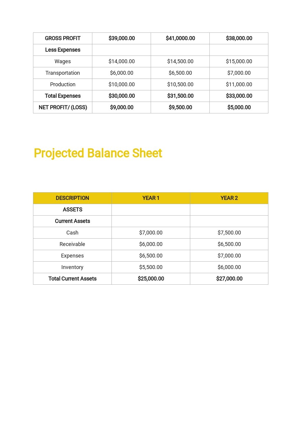 Tech Startup Business Plan Template Free PDF Google Docs Word tech-startup-business-plan-template-free-pdf-google-docs-word