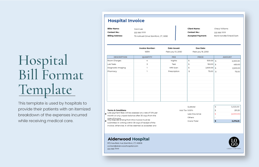 Hospital Bill Format Template Download In Excel Google Sheets 