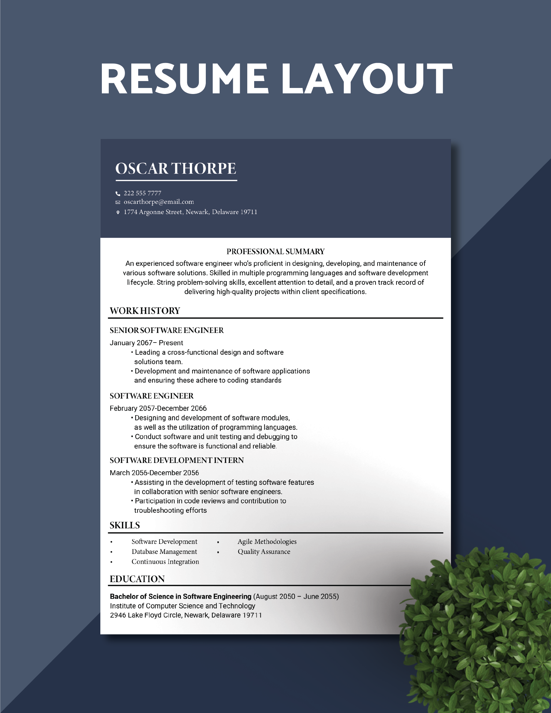 Free Resume Layout Template Download In Word Google Docs PDF 
