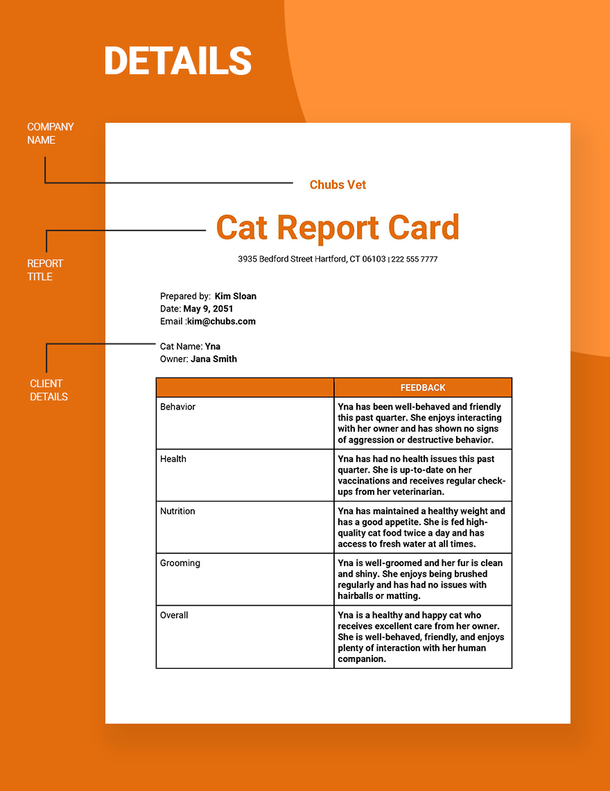 Cat Report Card Template - Word | Template.net