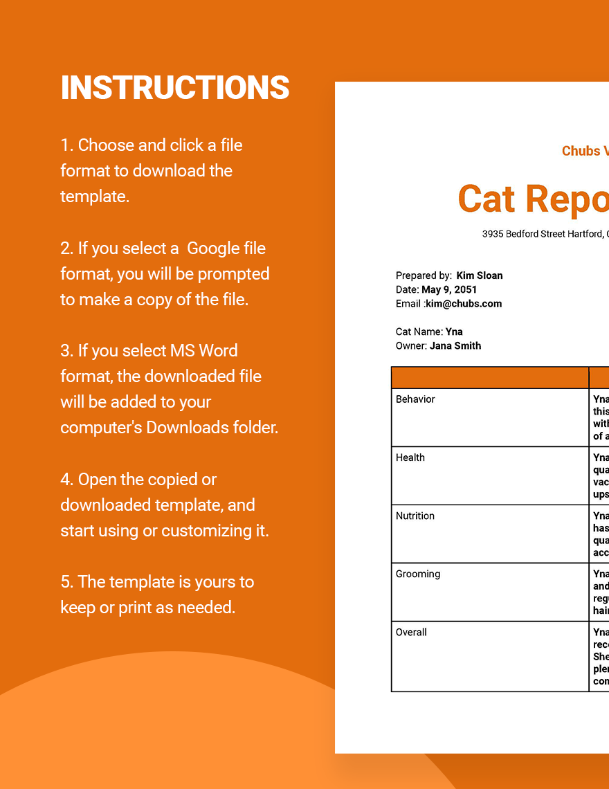Cat Report Card Template - Word | Template.net