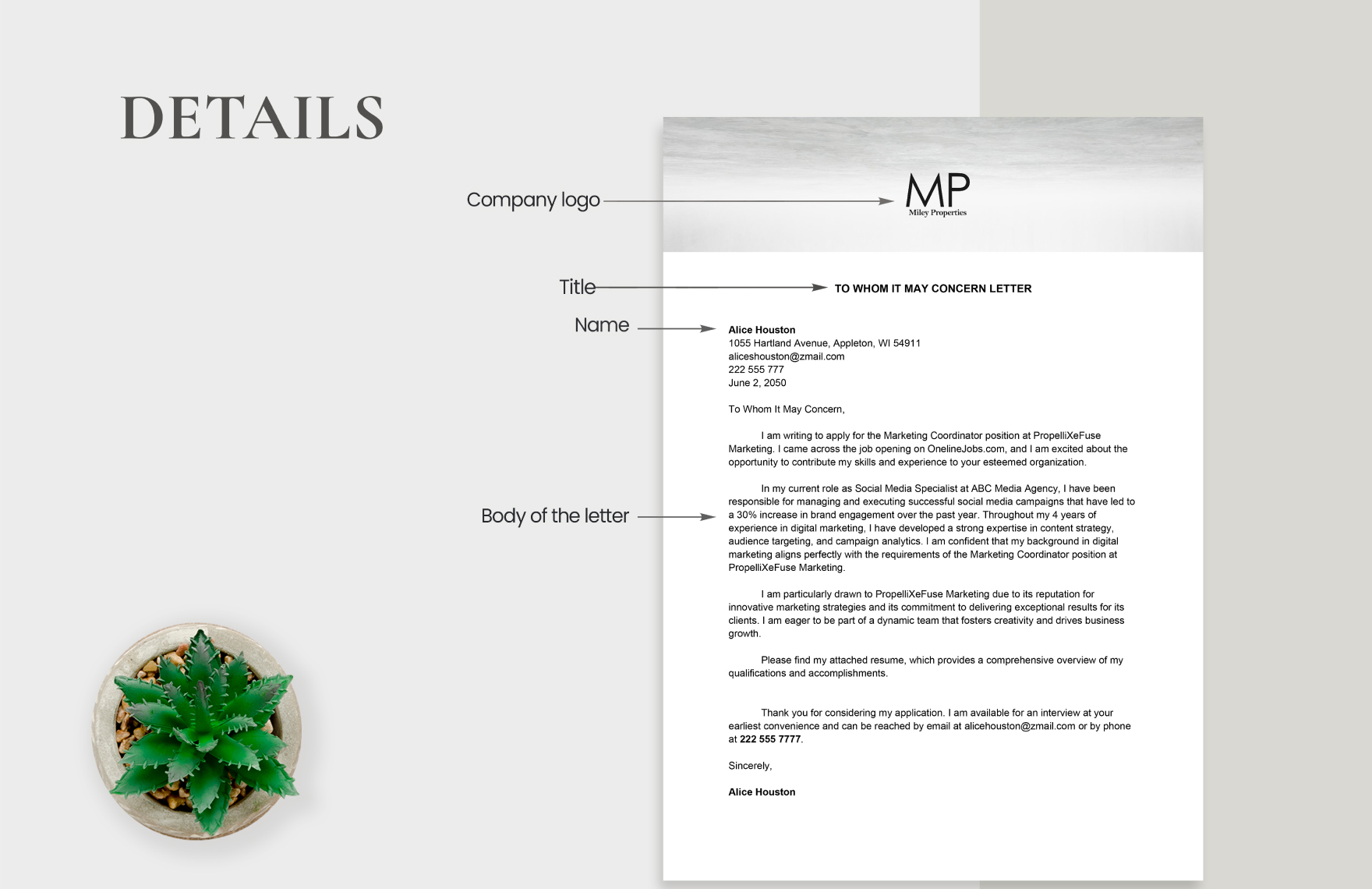 To Whom It May Concern Letter Template In Word PDF Google Docs