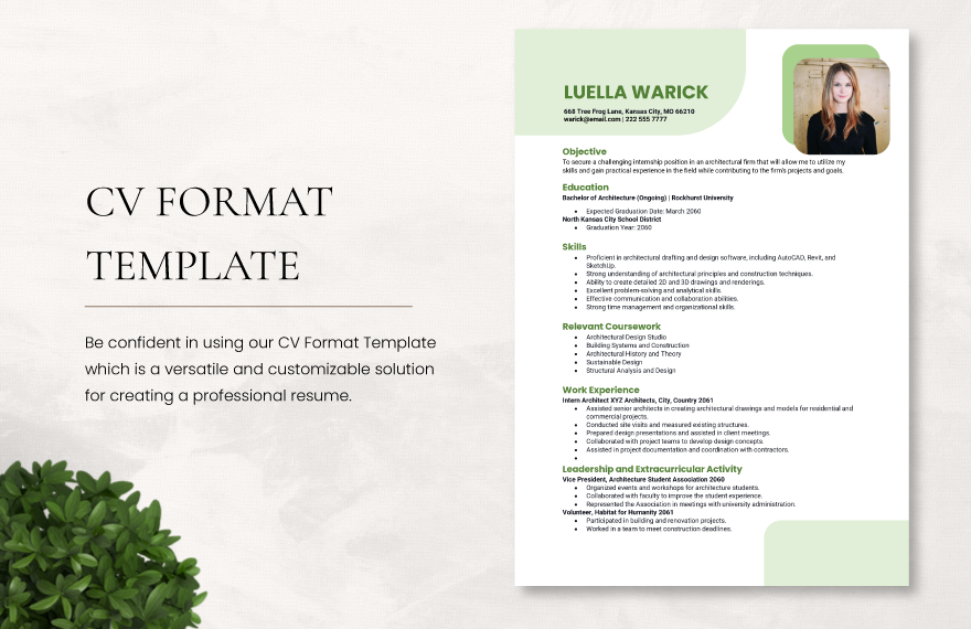 Free CV Format Template - Download in Word, Google Docs | Template.net