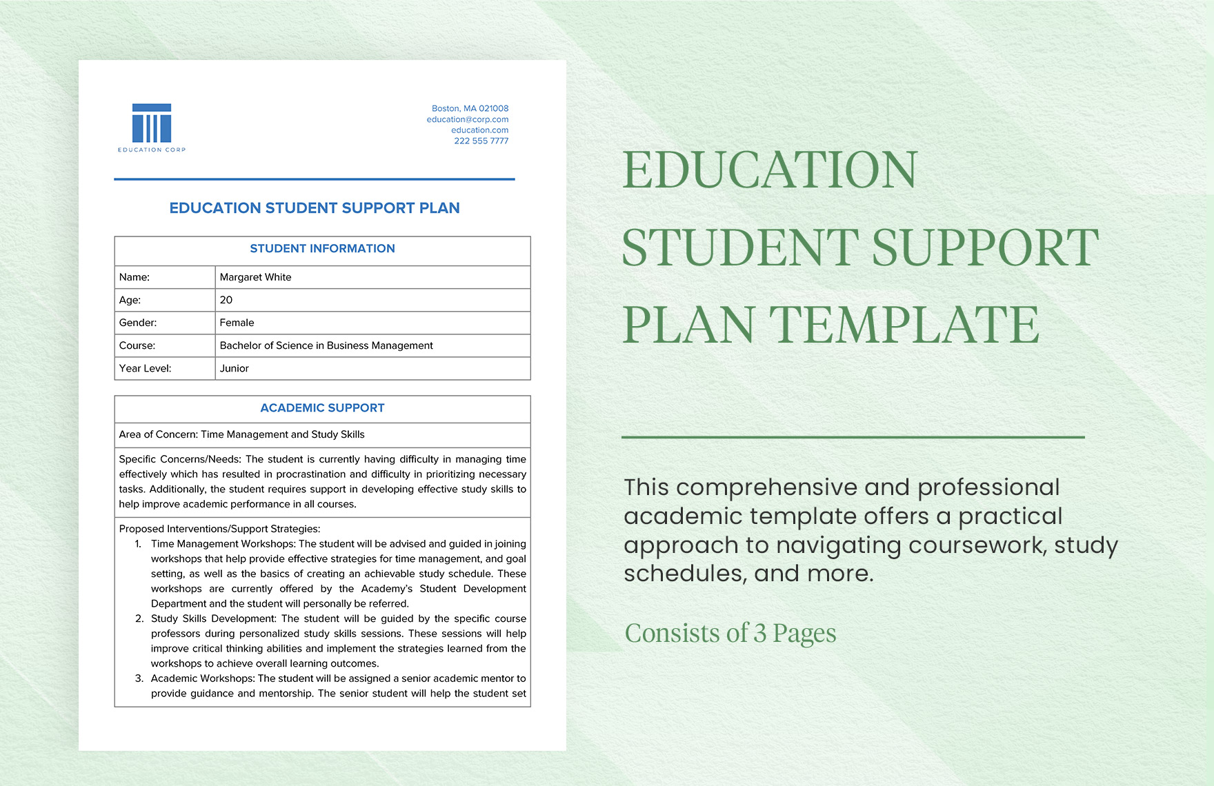 Education Student Support Plan Template In Word PDF Google Docs