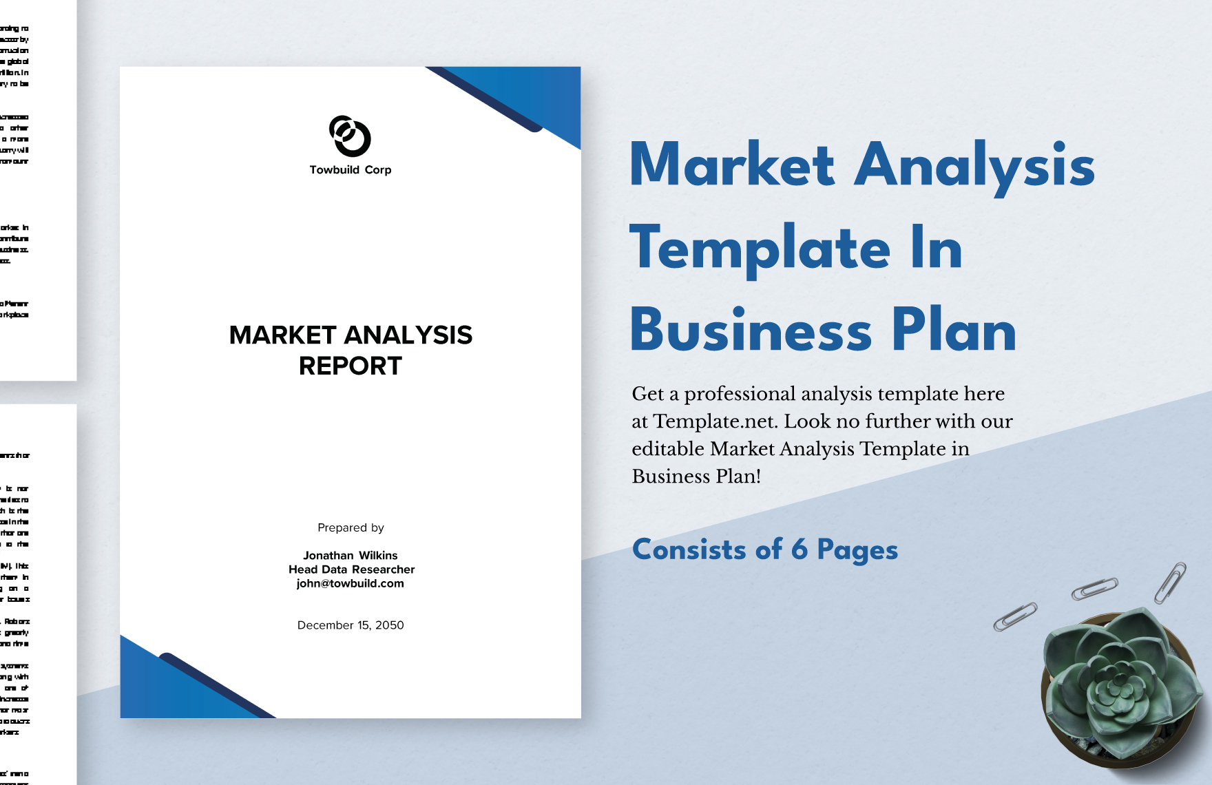 Market Analysis Template In Business Plan In Word PDF Google Docs