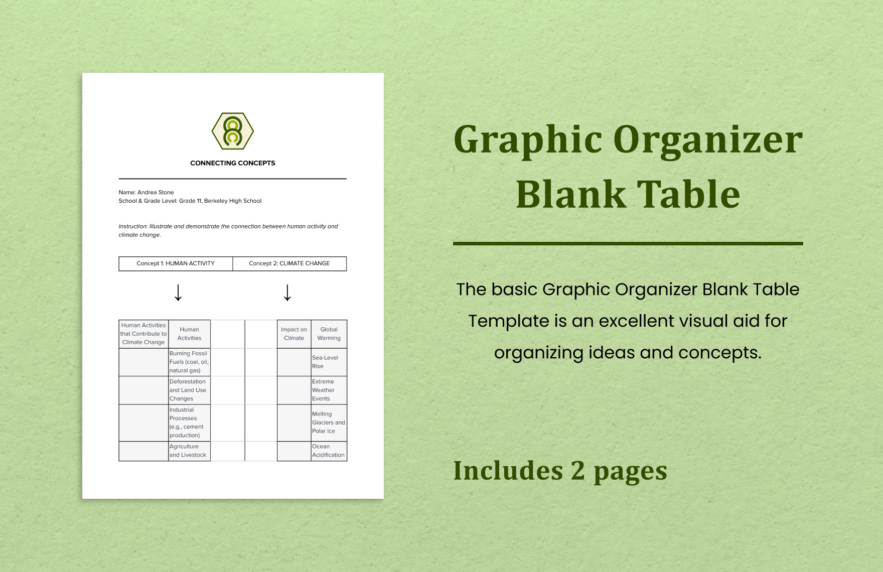 Graphic Organizer In Word FREE Template Download Template