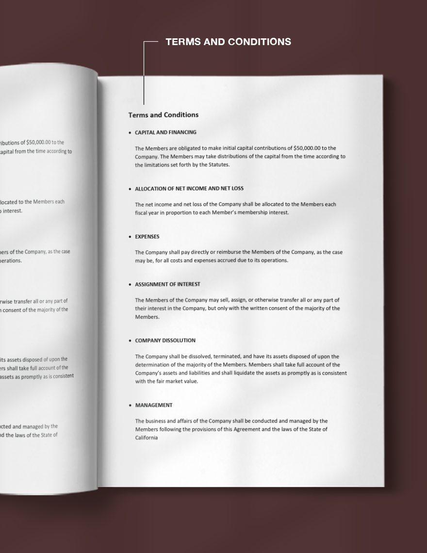 Operating Agreement Template - Google Docs, Word, Apple Pages ...