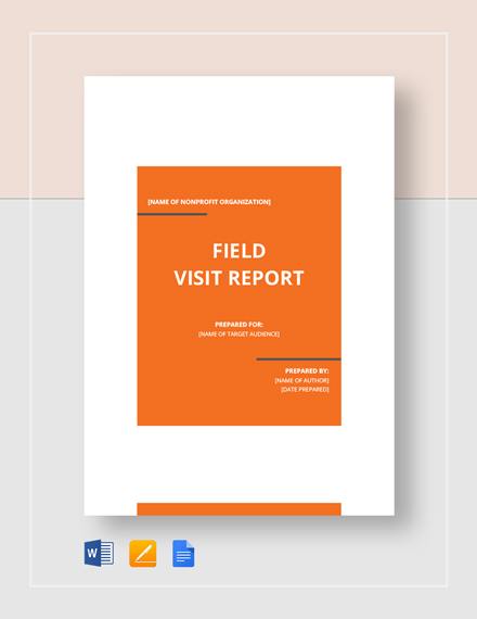 15+ Sample Visit Reports - Word, PDF, Pages