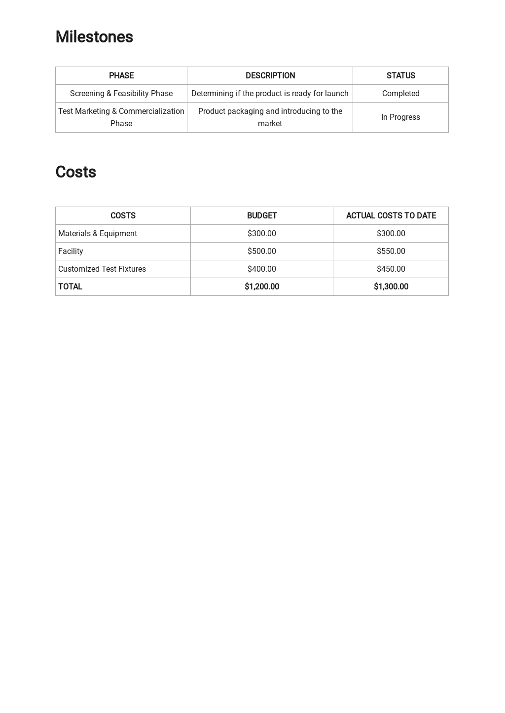 Test Report Template