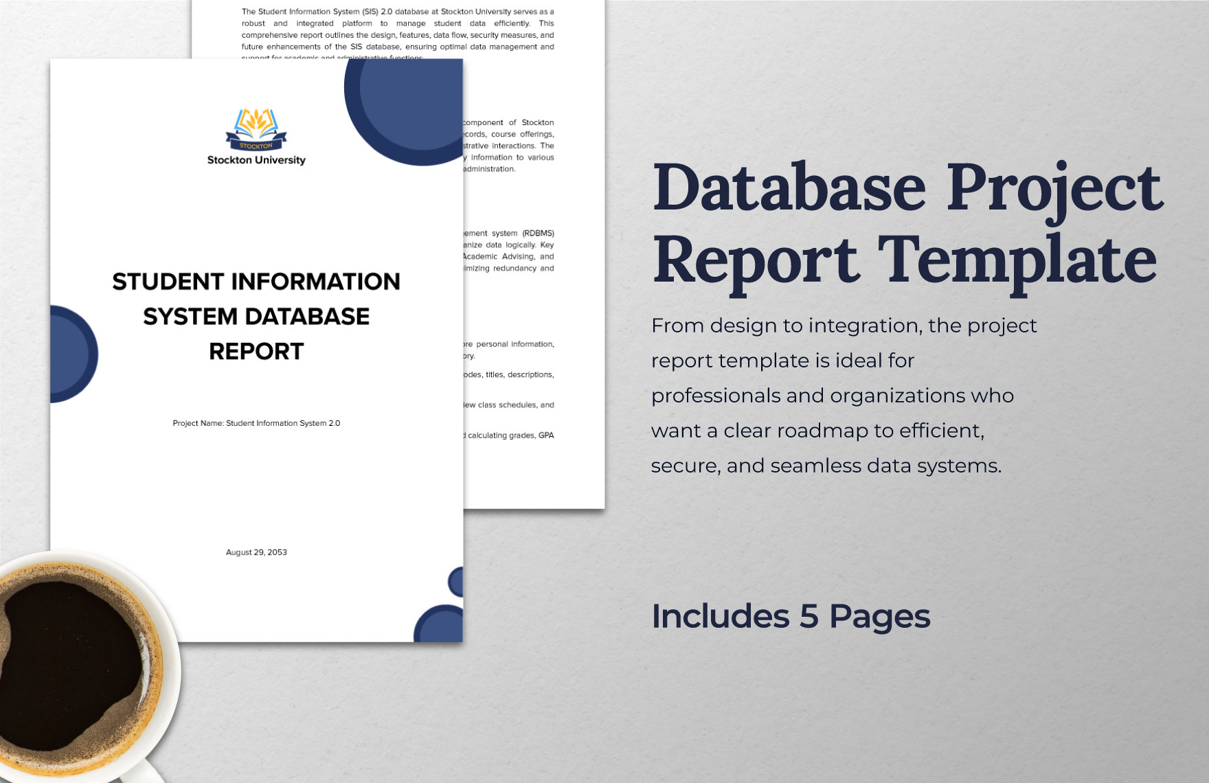 26 Project Report Templates Word PDF Docs