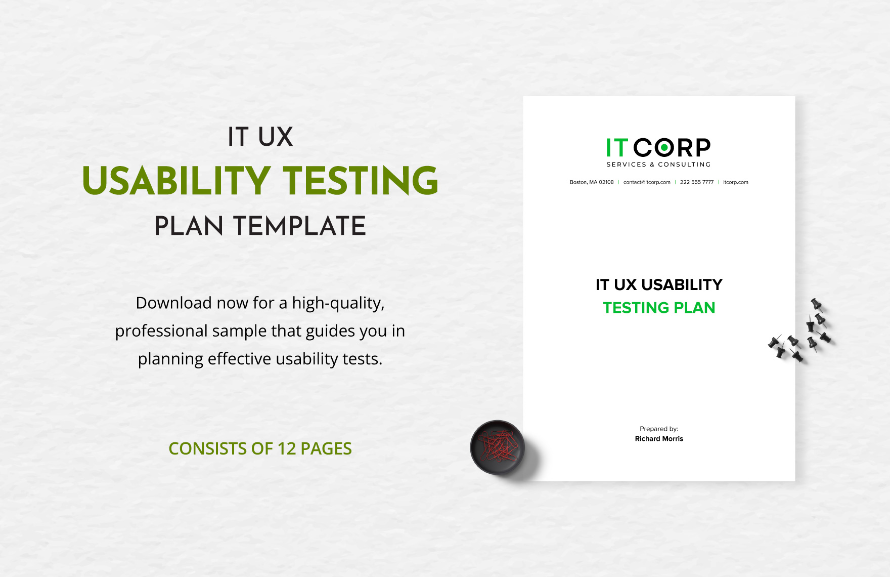 IT UX Usability Testing Plan Template Download In Word Google Docs 