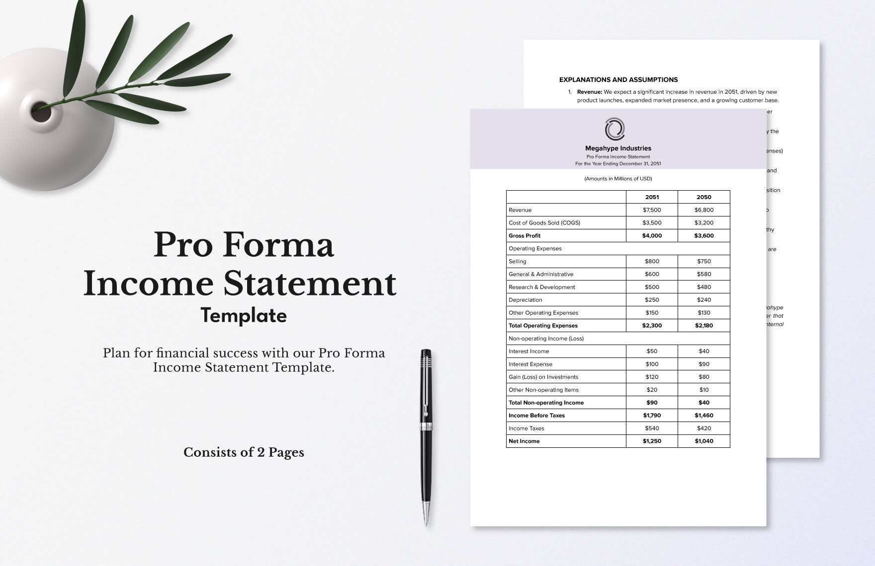 Pro Forma Income Statement Template In Word PDF Google Docs