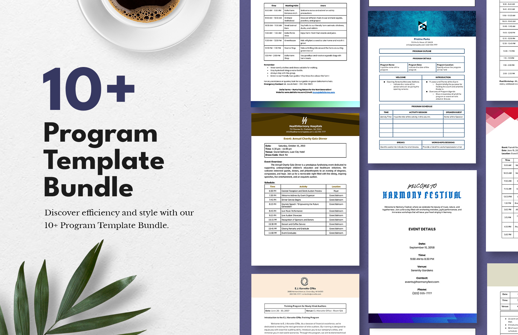 Program Proposal Templates In PDF FREE Download Template