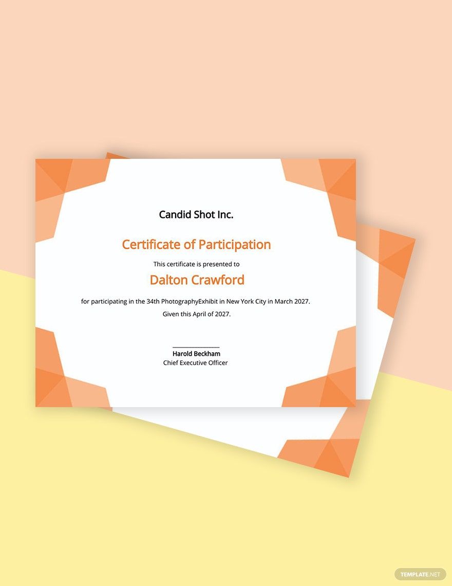 Editable Photography Participation Certificate Template - Google Docs ...