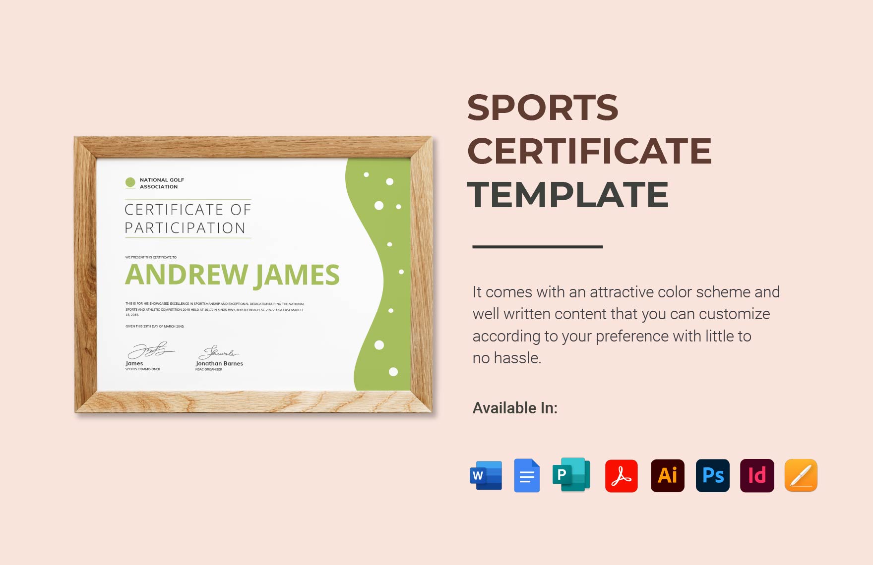 Page 21 Certificate Templates In Publisher FREE Download Template