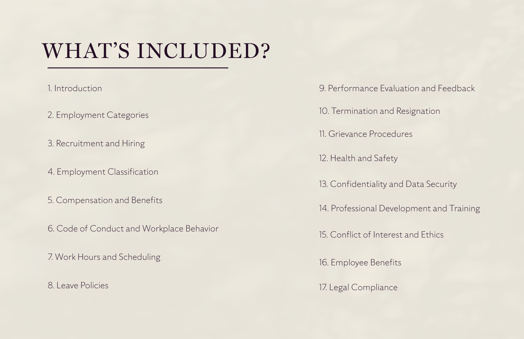 Nonprofit Organization Employment Policy Template - Download in Word ...