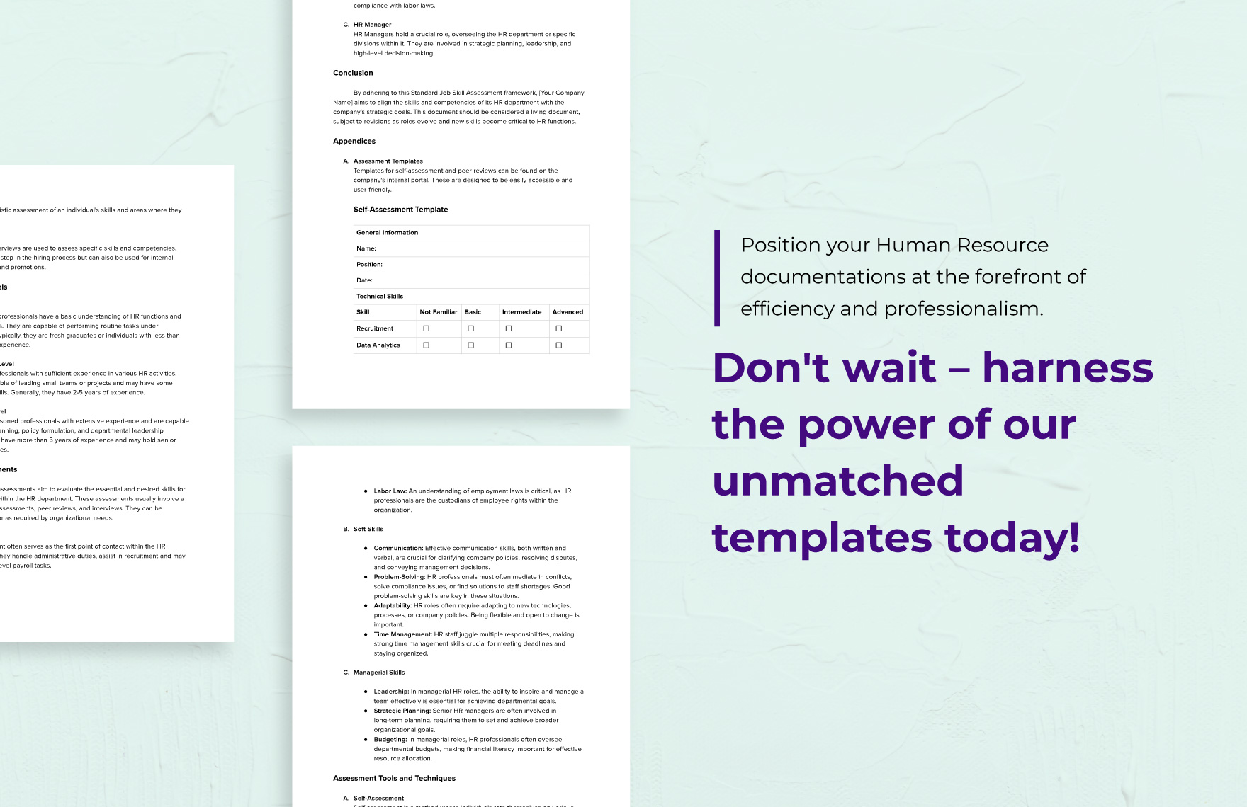 Standard Job Skill Assessment HR Template - Download in Word, Google ...