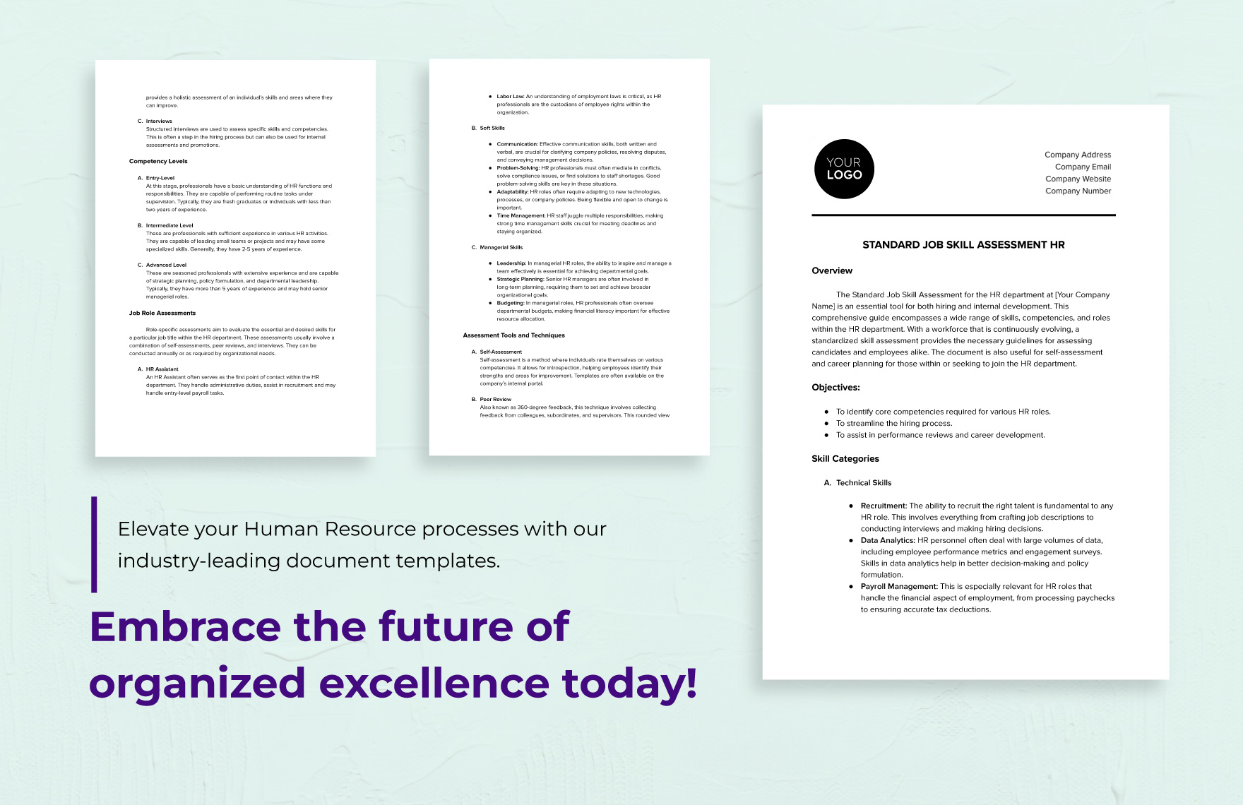 Standard Job Skill Assessment HR Template - Download in Word, Google ...