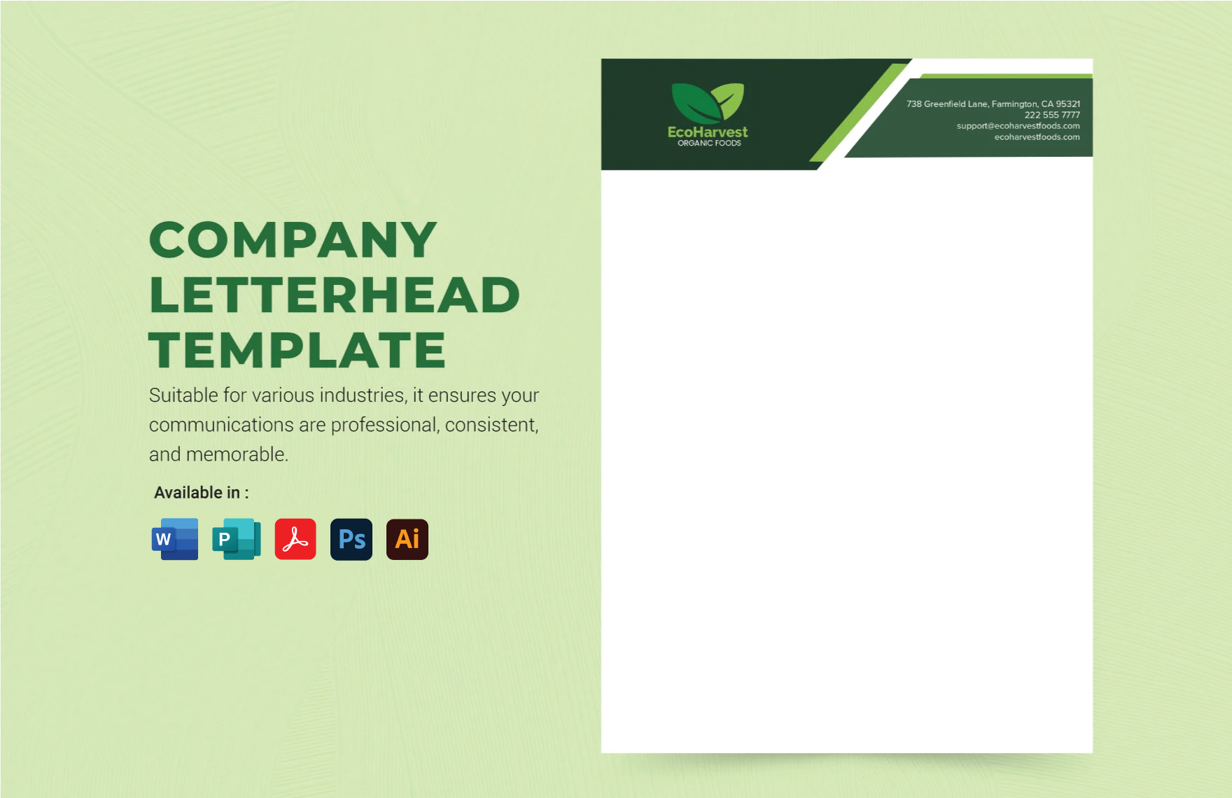 Editable Company Letterhead Templates In Publisher To Download