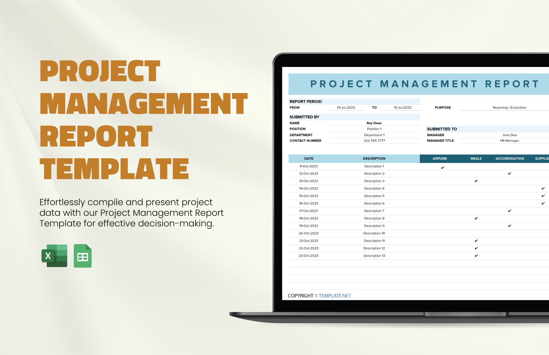 Project Management Report Template In Excel Google Sheets Download