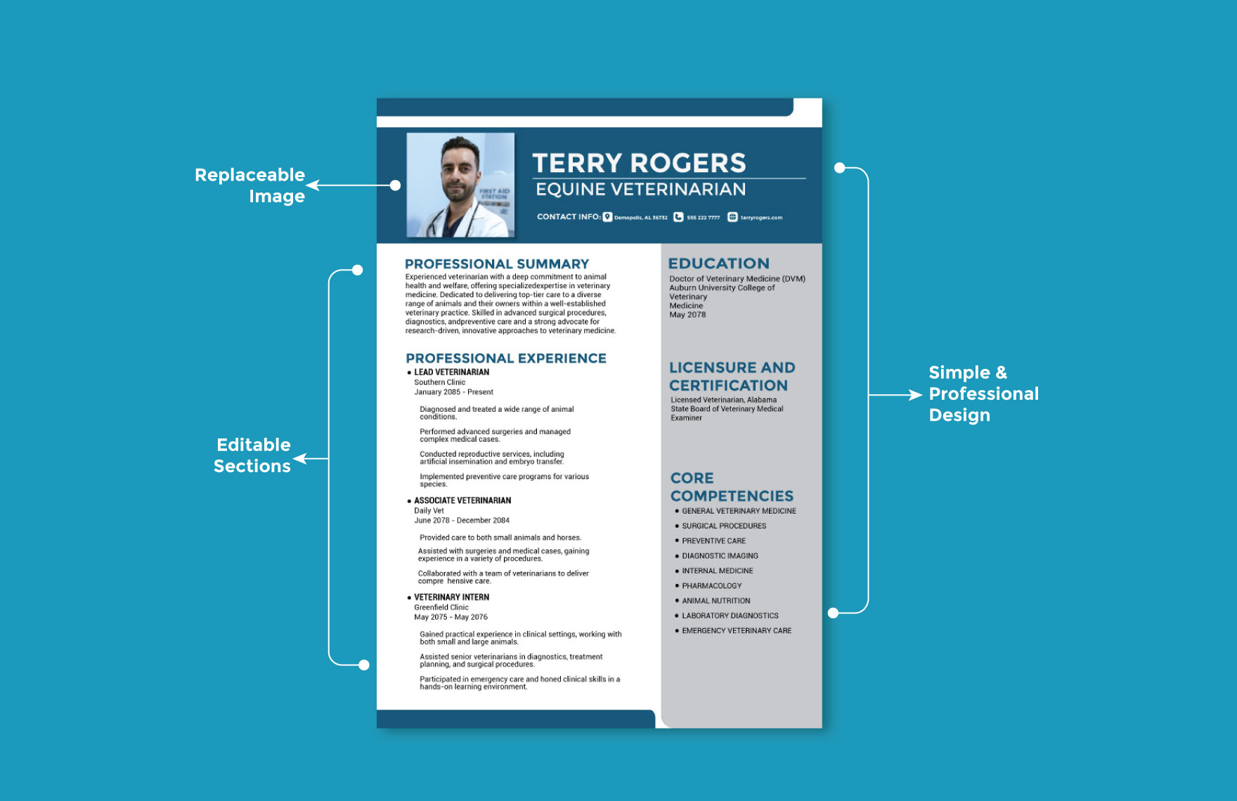 Free Veterinarian CV Template - Download in Word | Template.net