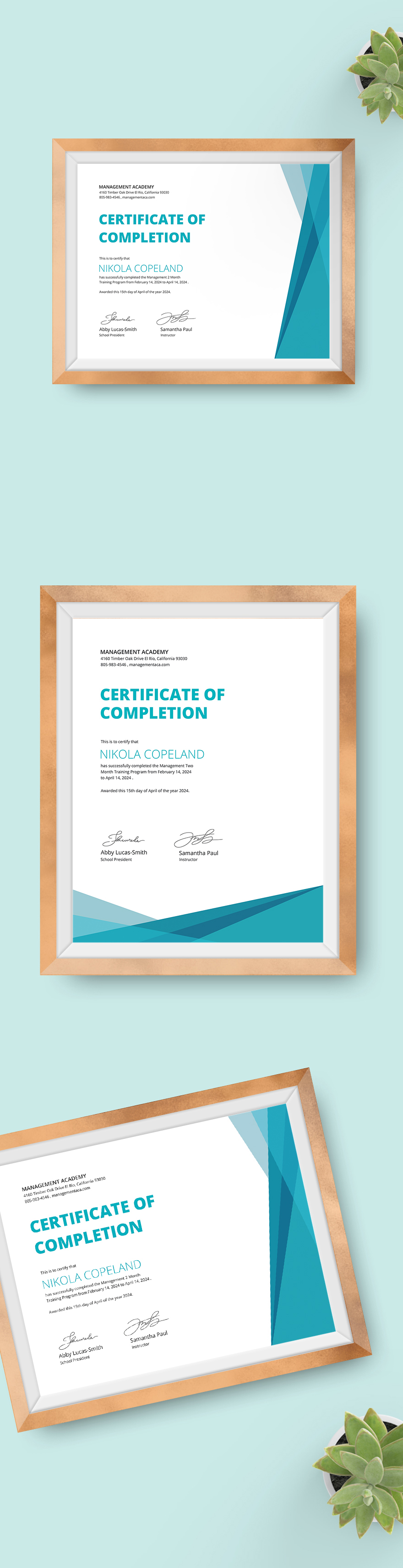 Industrial Training Certificate Template - Google Docs, Illustrator ...