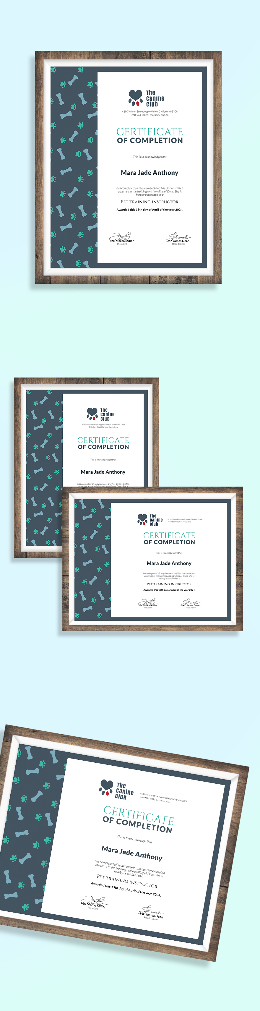 Industrial Training Certificate Template - Google Docs, Illustrator ...
