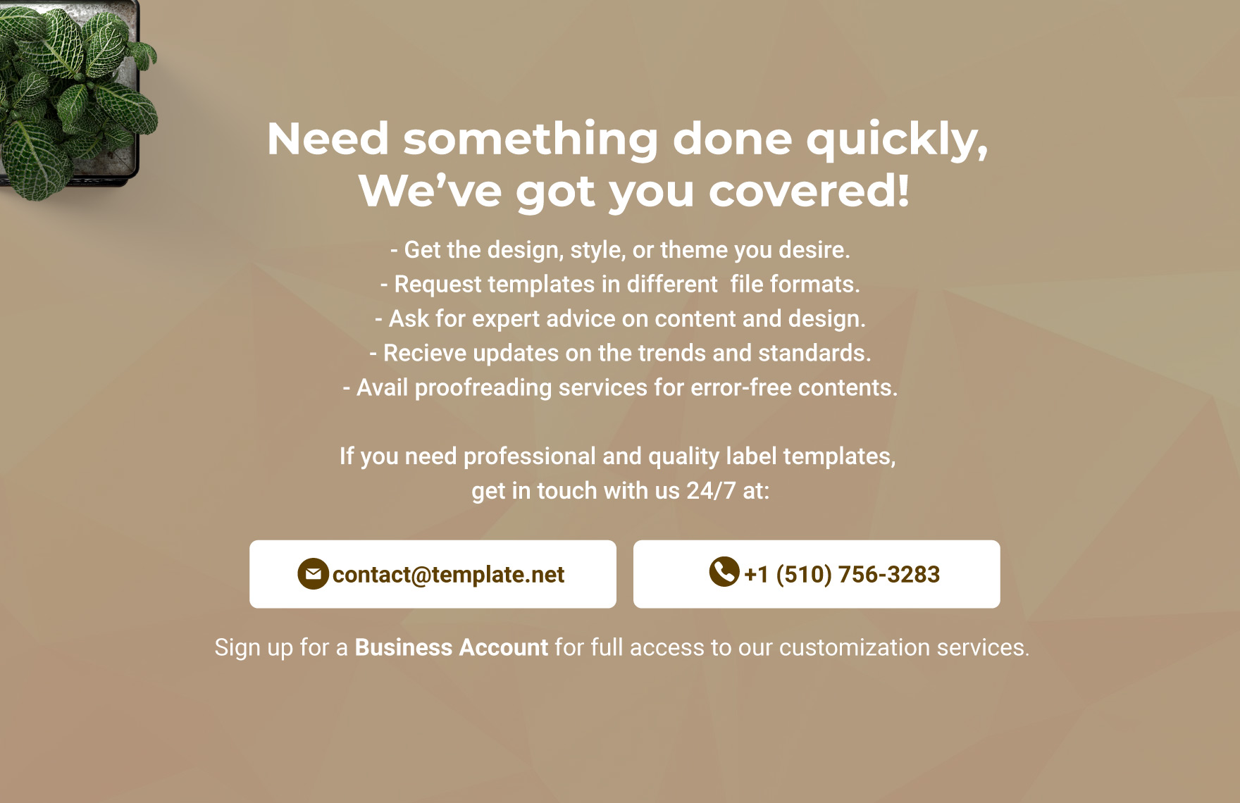 Free Sticker Label Template - Download in Word | Template.net