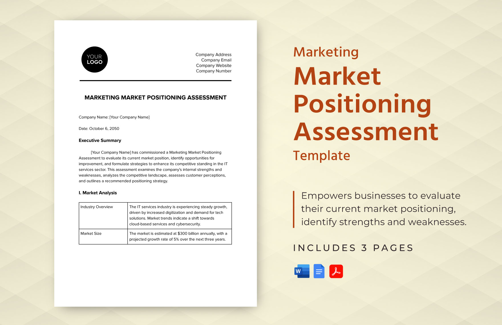 Marketing Market Positioning Assessment Template In PDF Word Google
